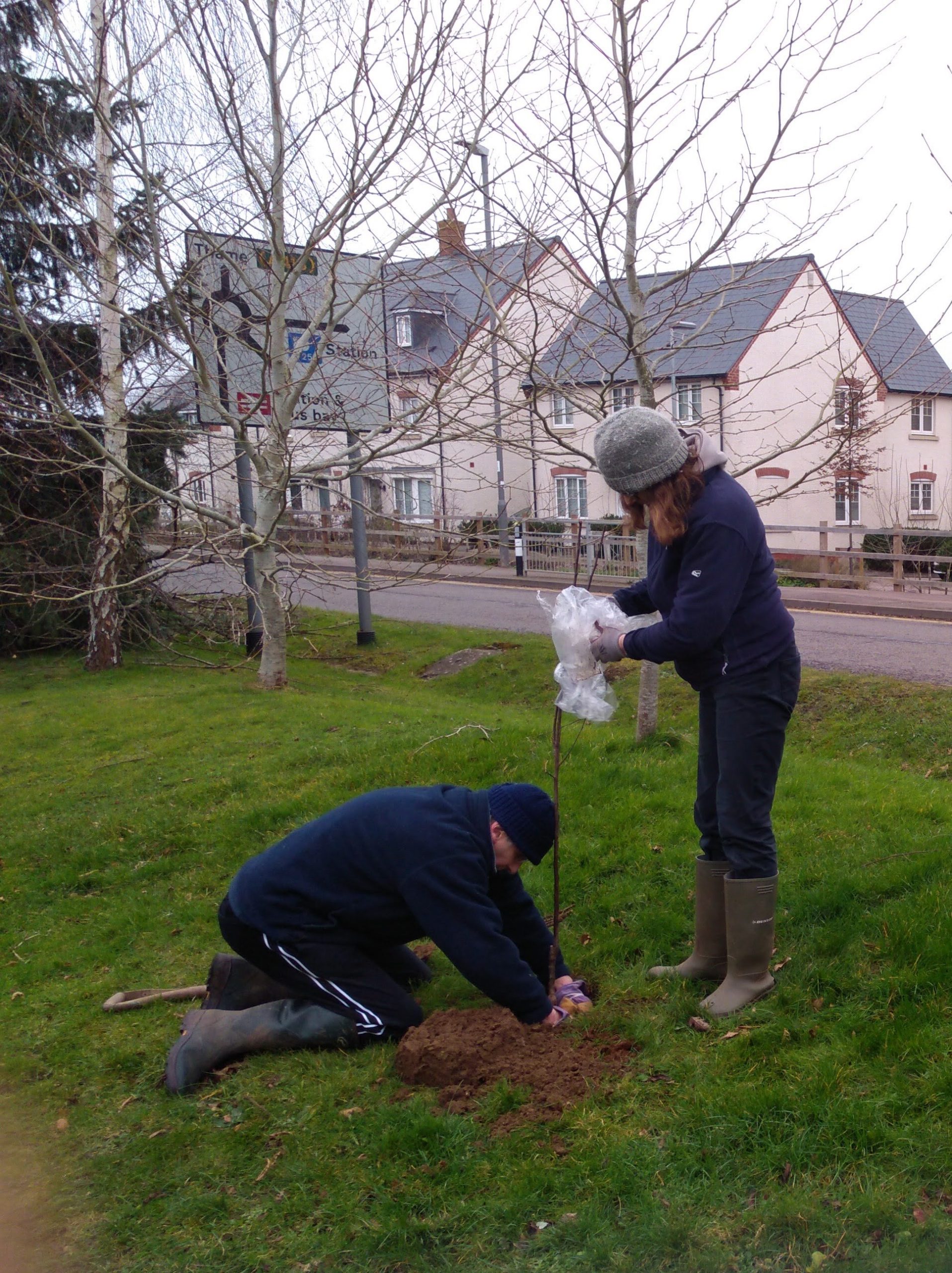 Tree planting season is upon us again! – Zero Carbon Haddenham